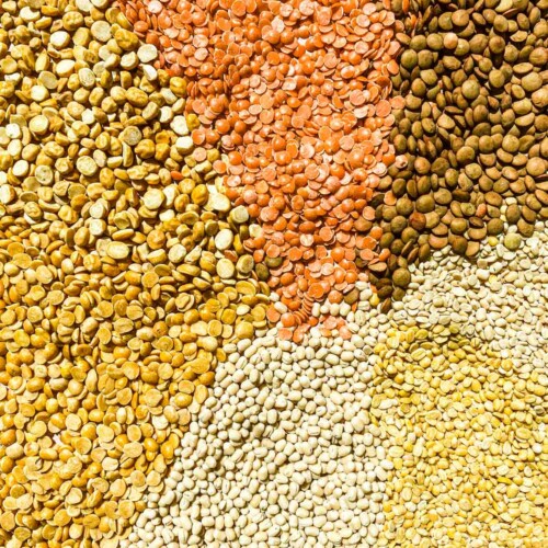 The Guide to Different Dal Varieties in Indian Cooking