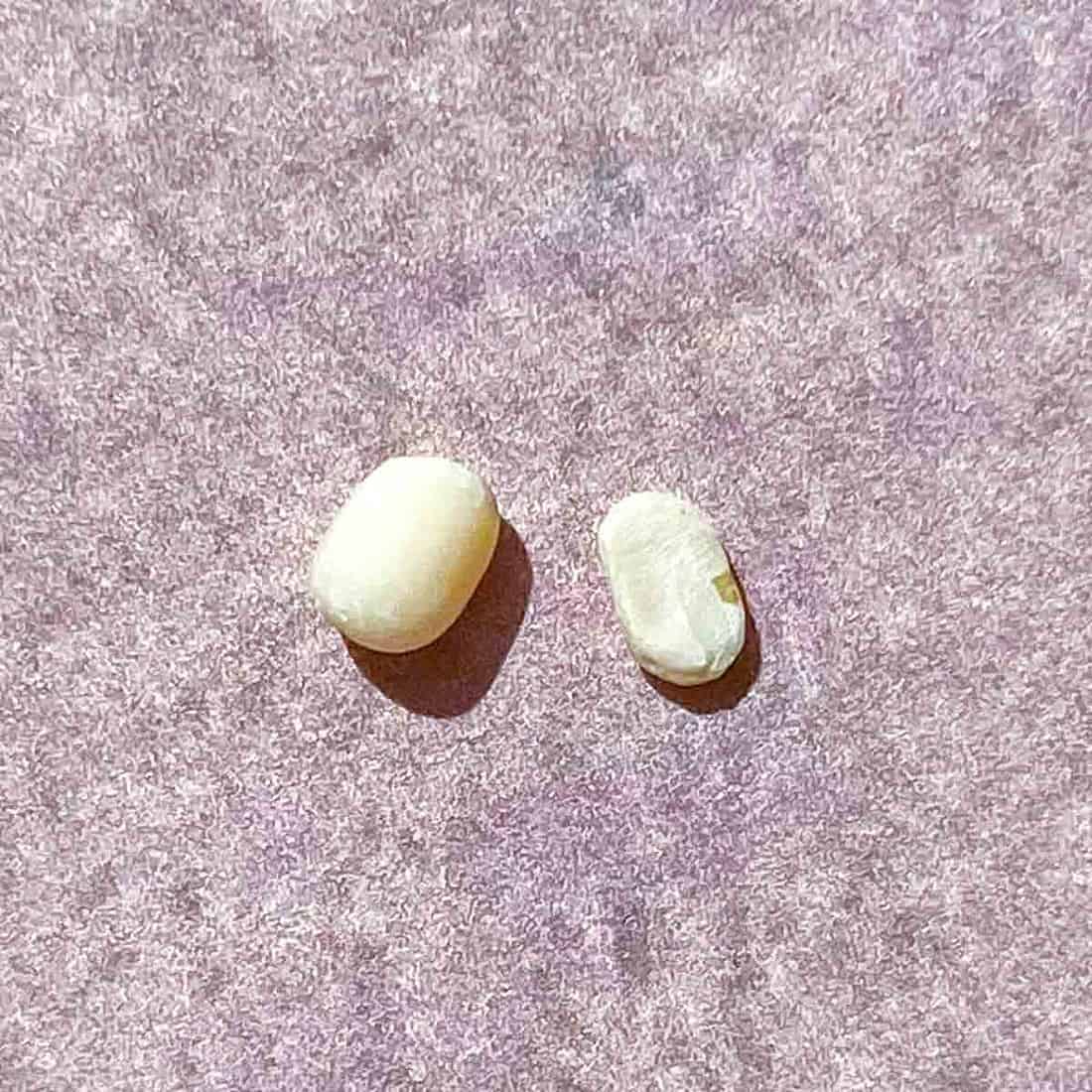 The Guide to Different Dal Varieties in Indian Cooking