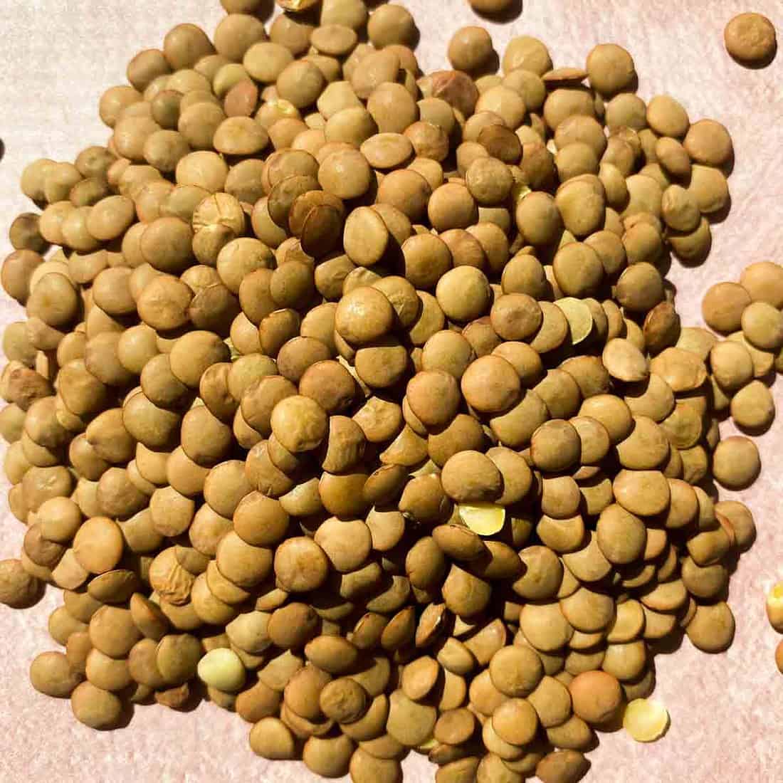 The Guide to Different Dal Varieties in Indian Cooking